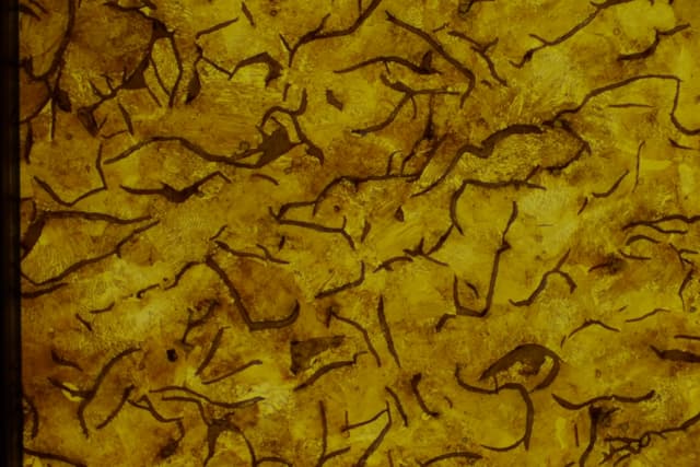 Microstructural Analysis | Metallography.org